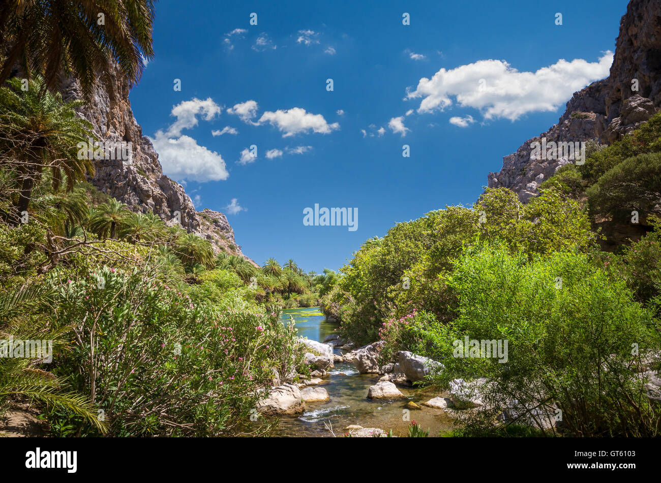 Preveli palm forest in Crete island, Greece. This amazing tropical ...