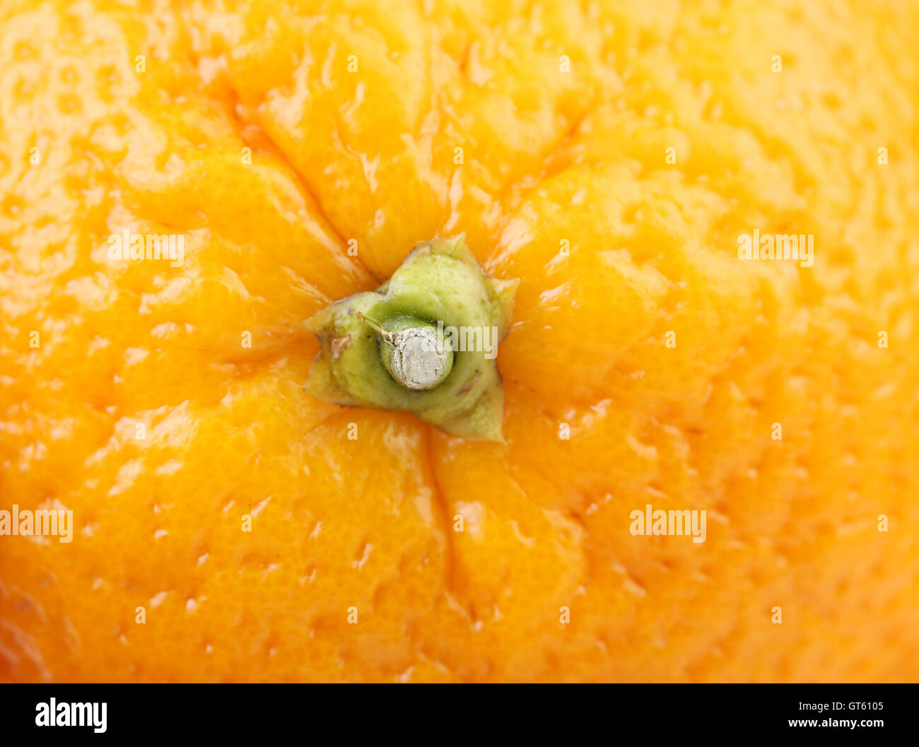 Orange fruit. Close up. A whole background Stock Photo - Alamy