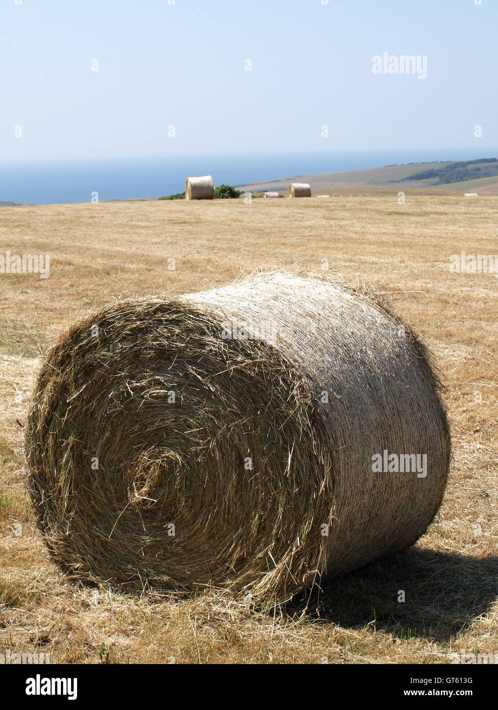 Hay bales in field off Beachy Head Way, Eastbourne, East Sussex ...