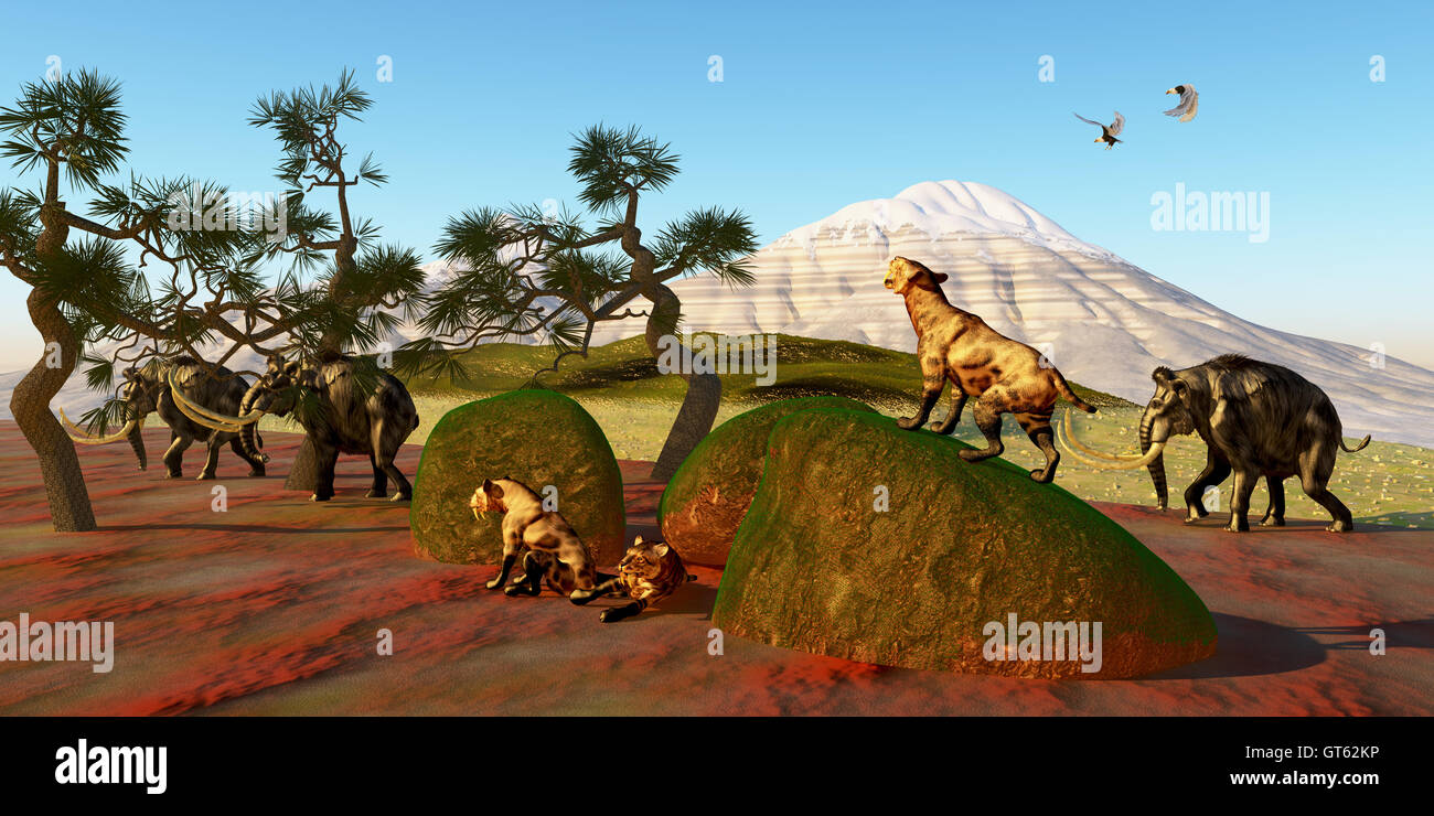 Saber Toothed Cat Family Stock Photo - Alamy