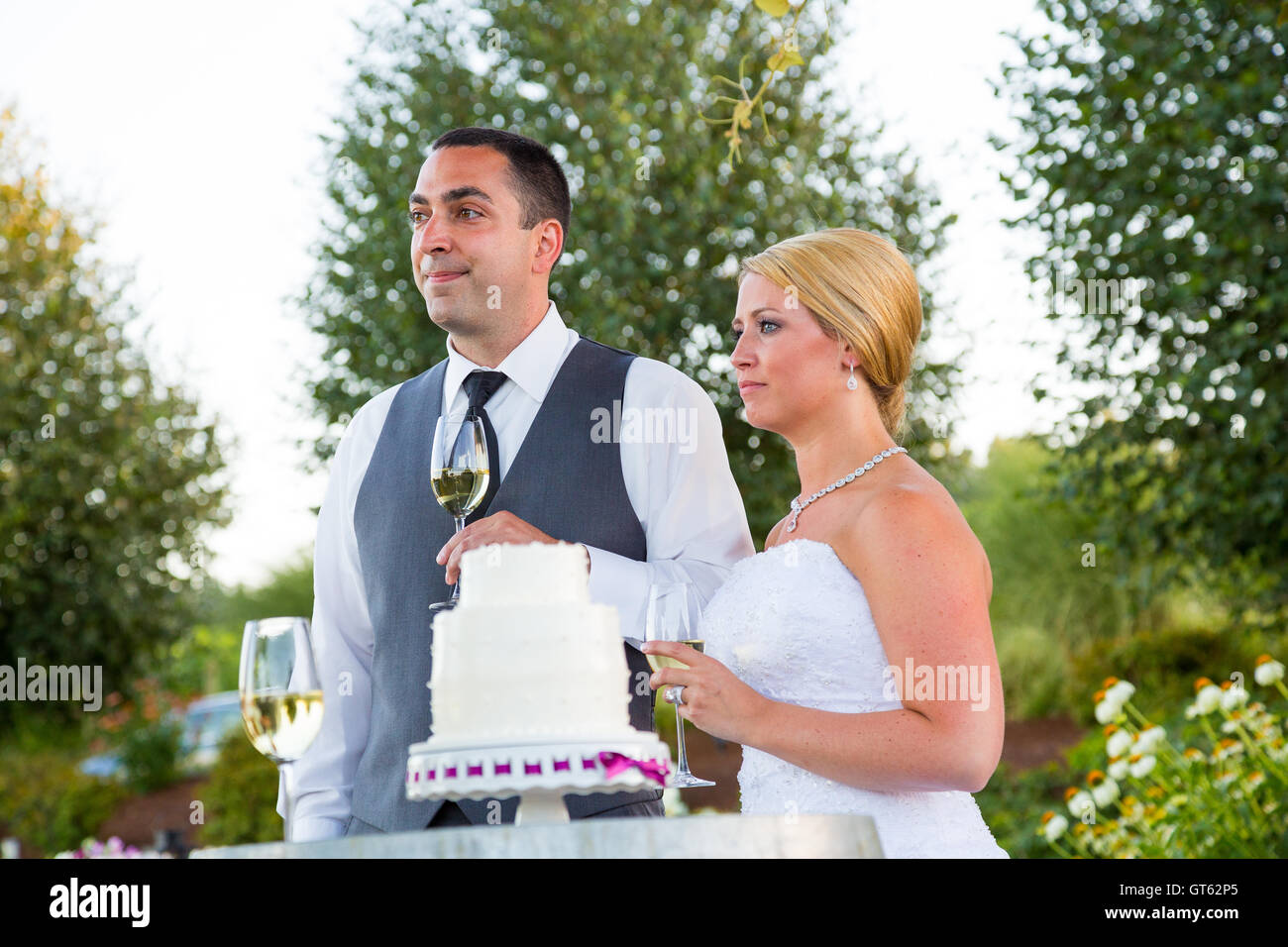 Bride and Groom Wedding Toasts Stock Photo - Alamy