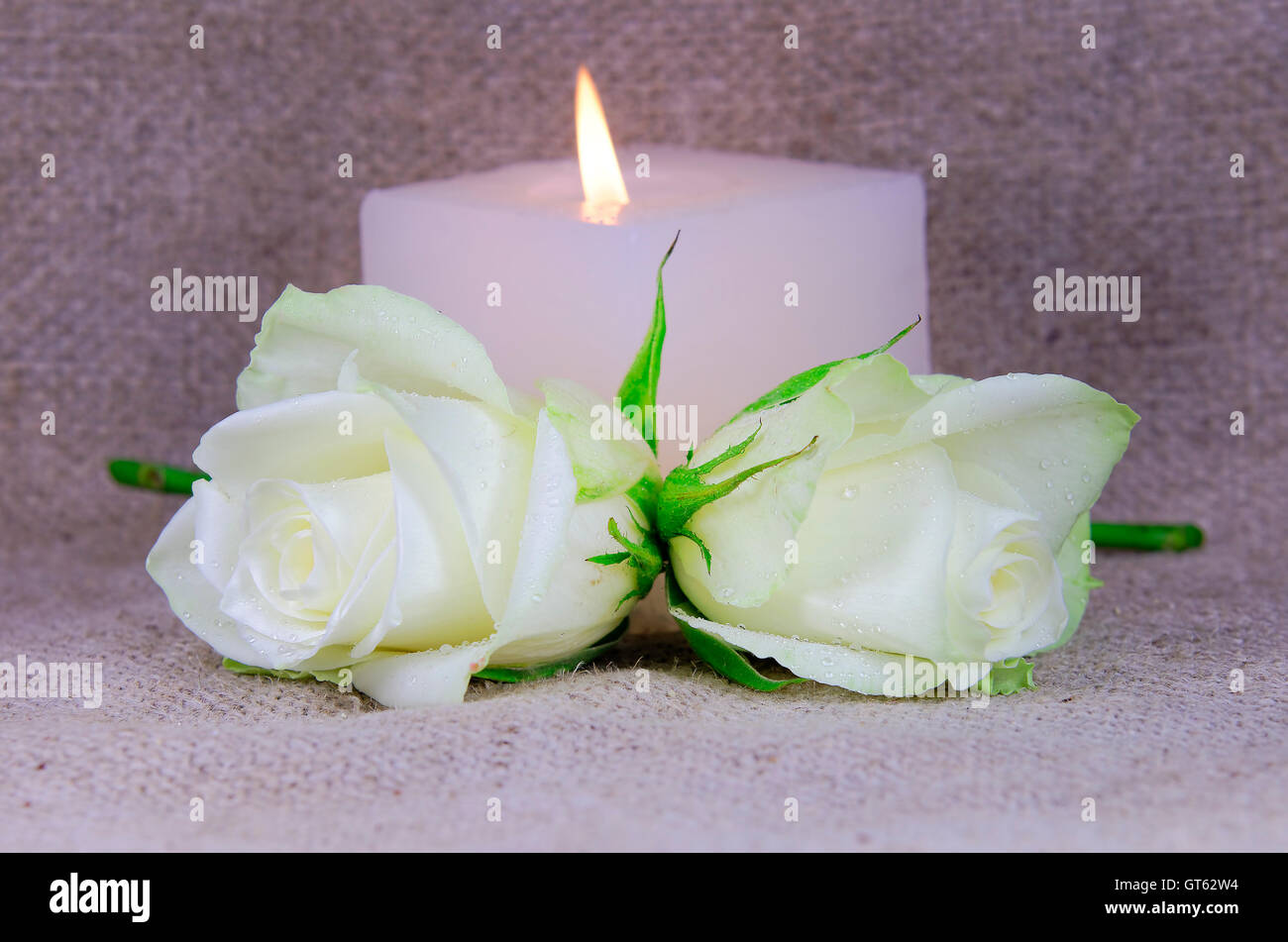 Flame flower hi-res stock photography and images - Alamy