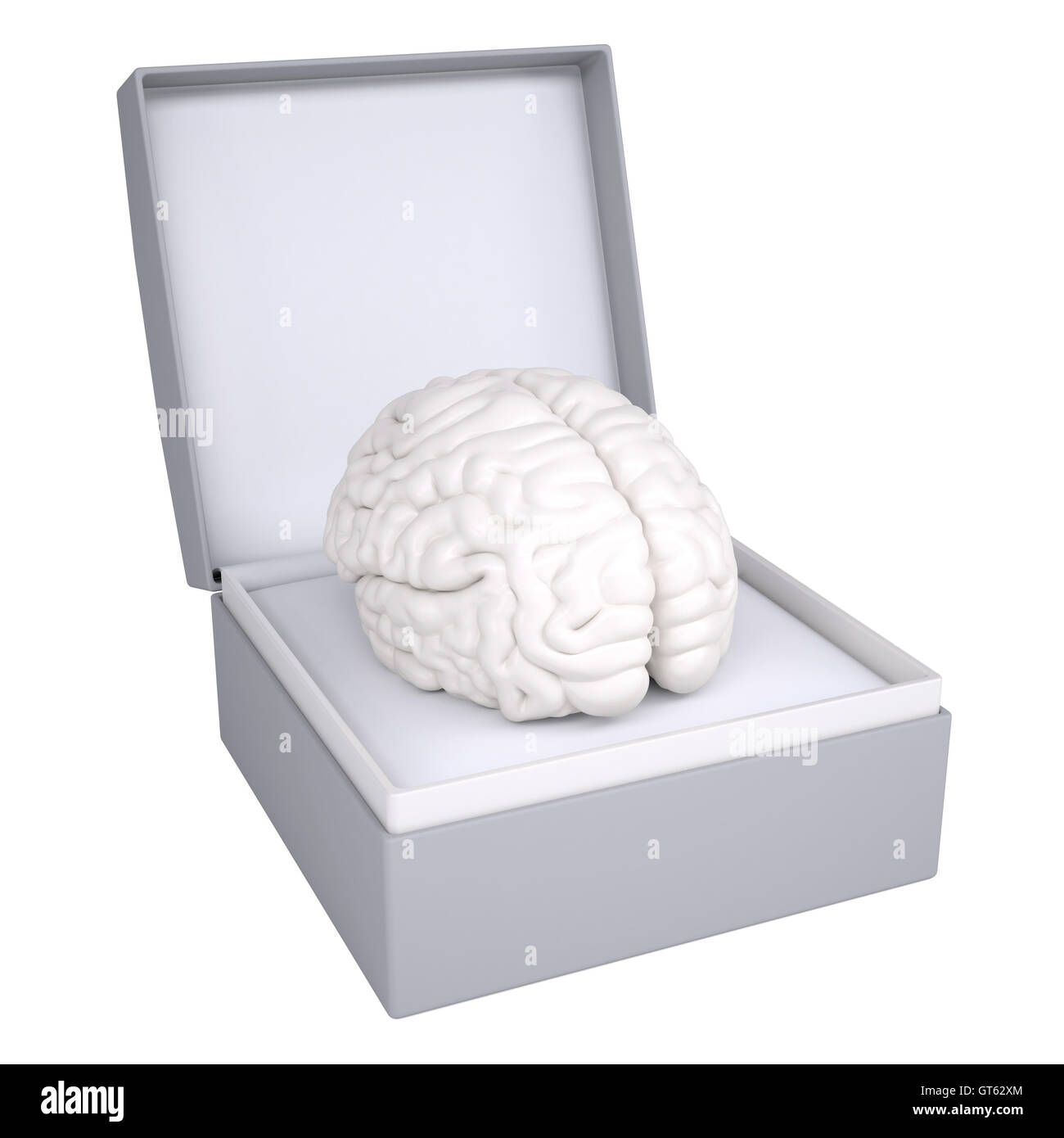 Brain in open gift box Stock Photo - Alamy