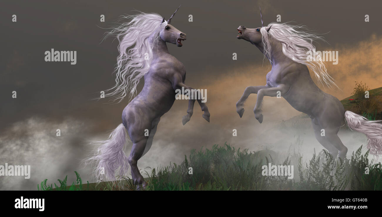 Unicorn Stallions Fighting Stock Photo - Alamy