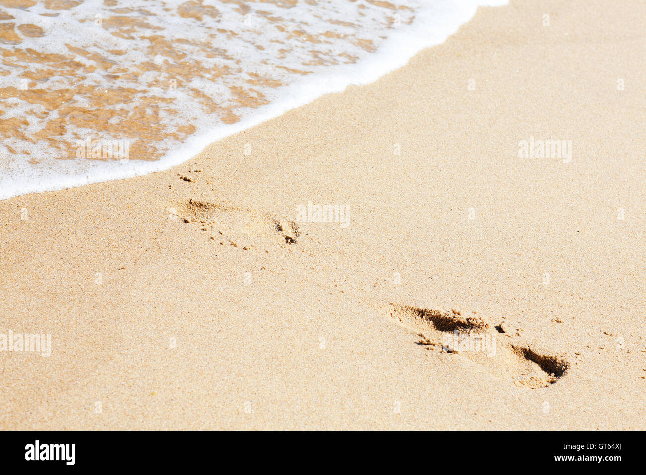 trails on the sand Stock Photo - Alamy