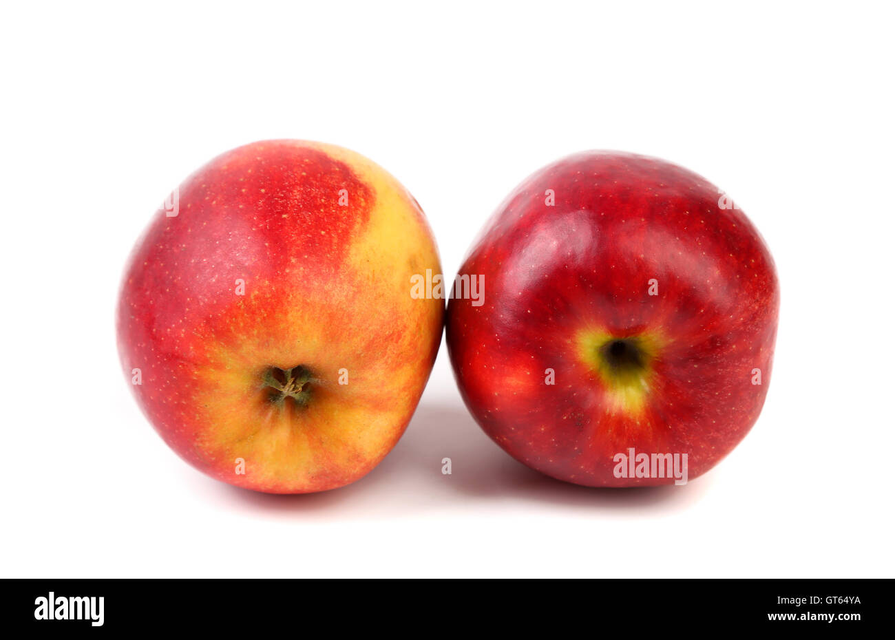 Two red apples are located on a white background Stock Photo - Alamy