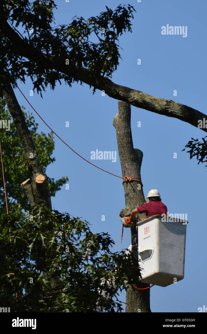 Bucket truck hi-res stock photography and images - Alamy