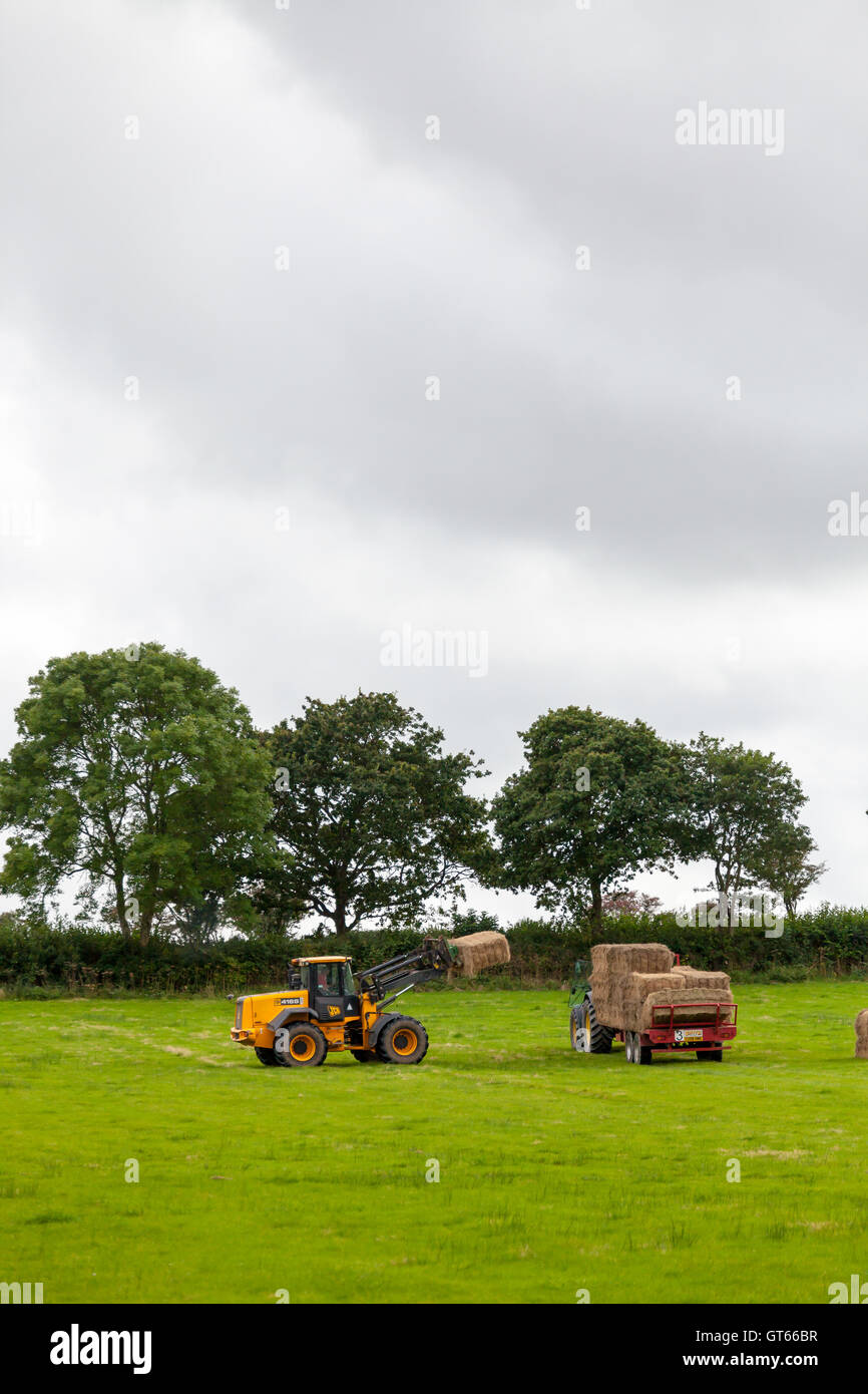 Loader moving bales of hay to a trailer, Pembrokeshire, UK Stock Photo ...