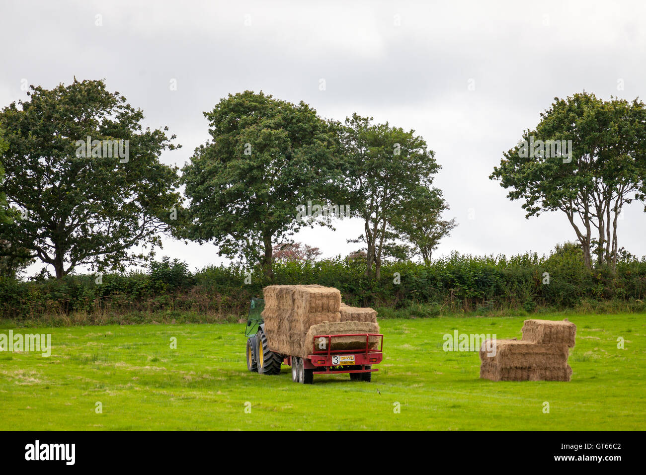 Loader moving bales of hay to a trailer, Pembrokeshire, UK Stock Photo ...