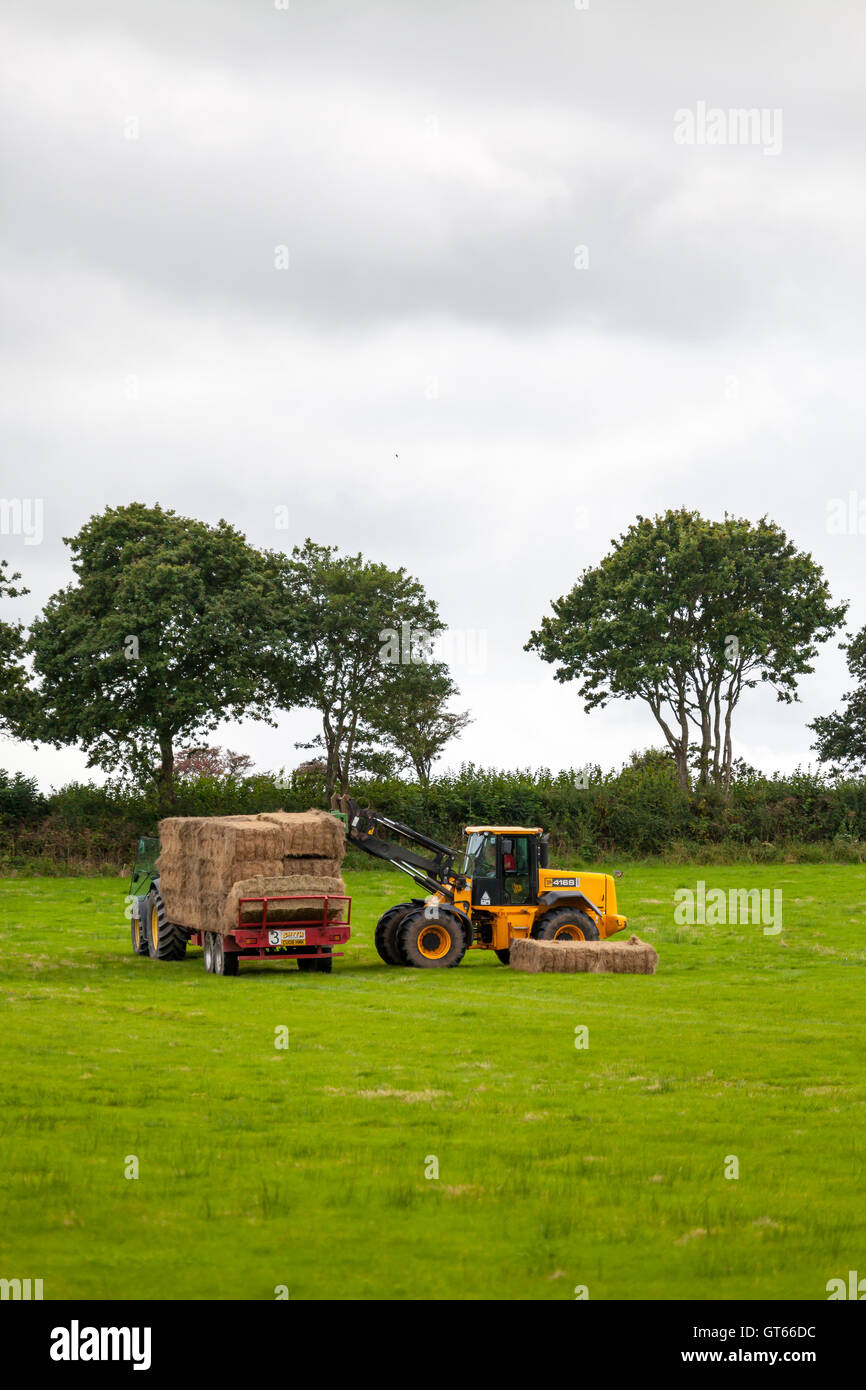 Farmer moving bales hay tractor hi-res stock photography and images - Alamy