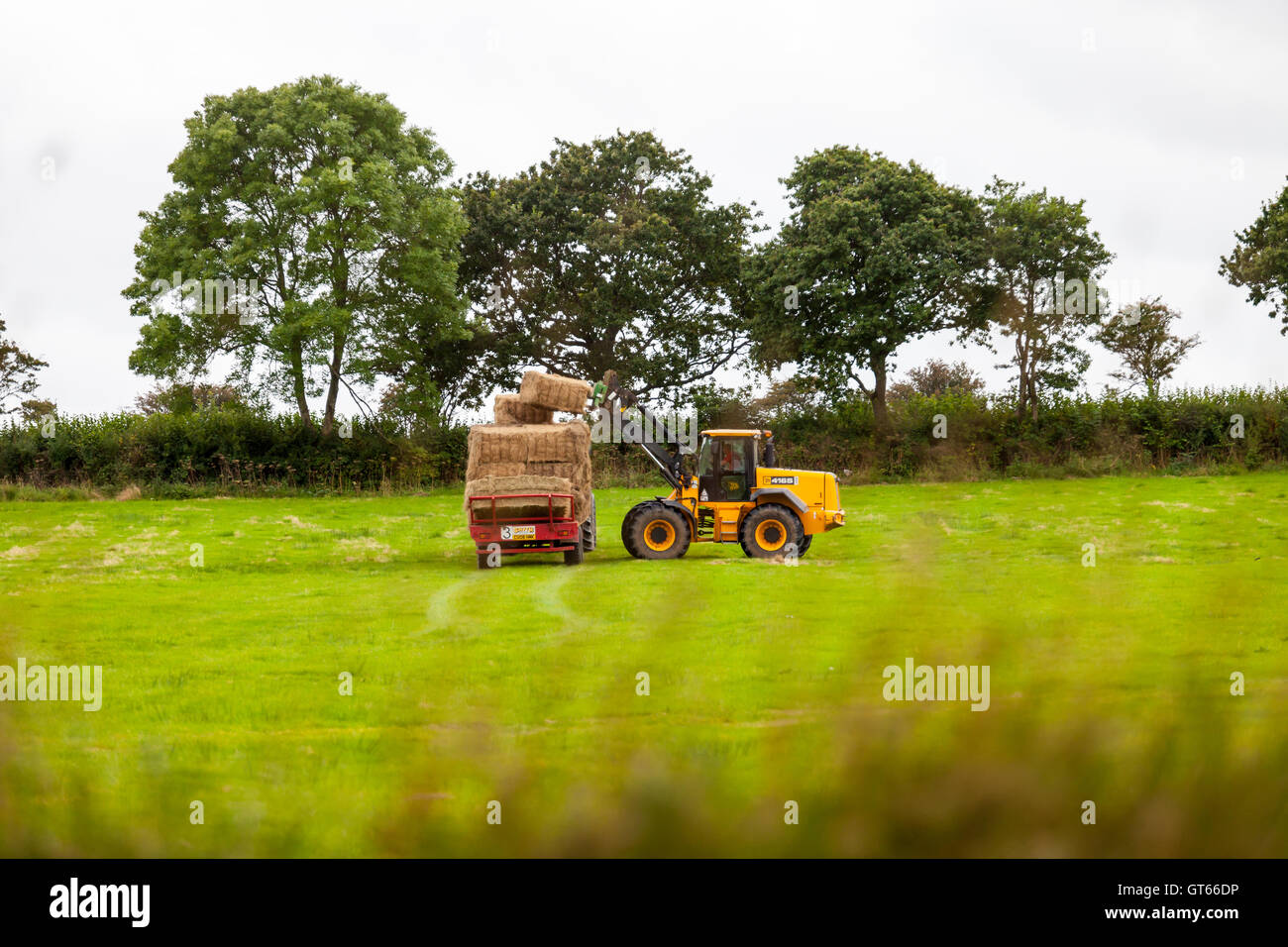 Farmer moving bales hay tractor hi-res stock photography and images - Alamy