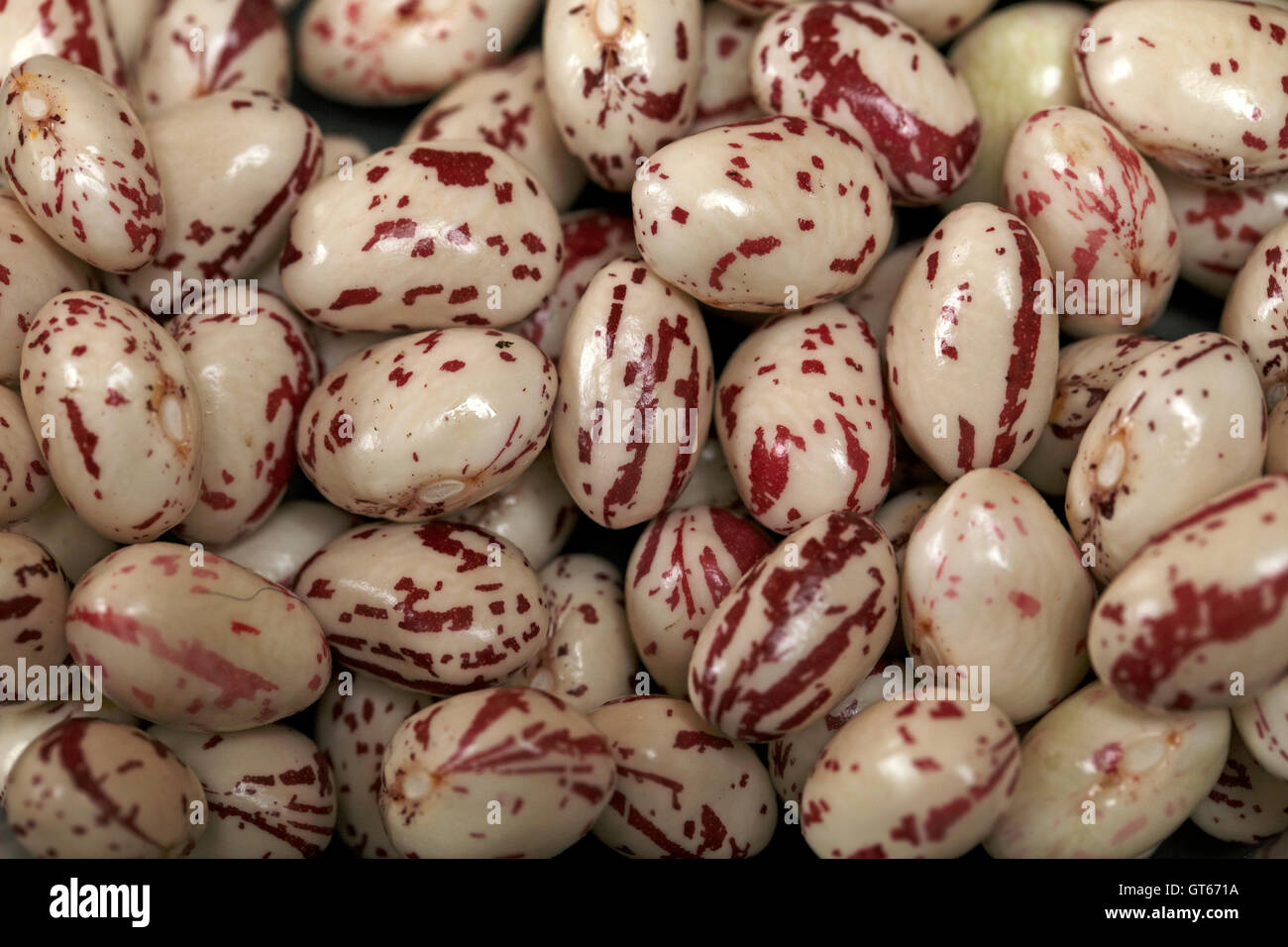 Mottled Beans High Resolution Stock Photography and Images - Alamy