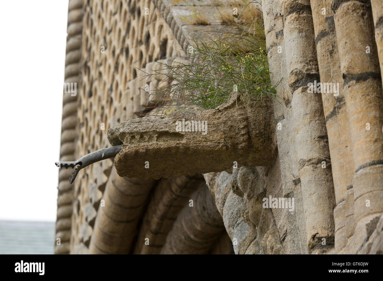 Gargoyle water spout hi-res stock photography and images - Alamy