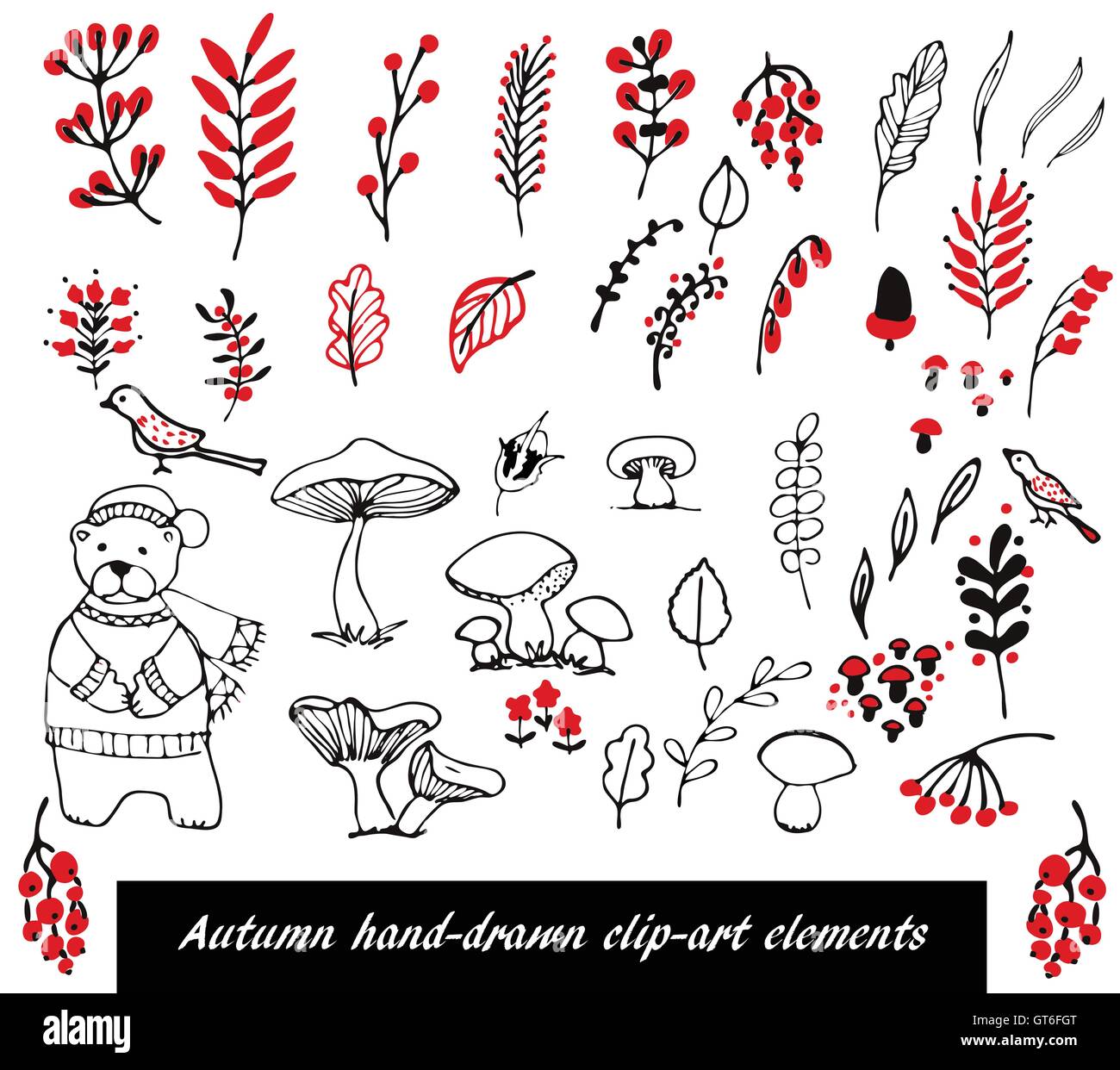 Hand Drawn floral elements set Stock Vector Image & Art - Alamy