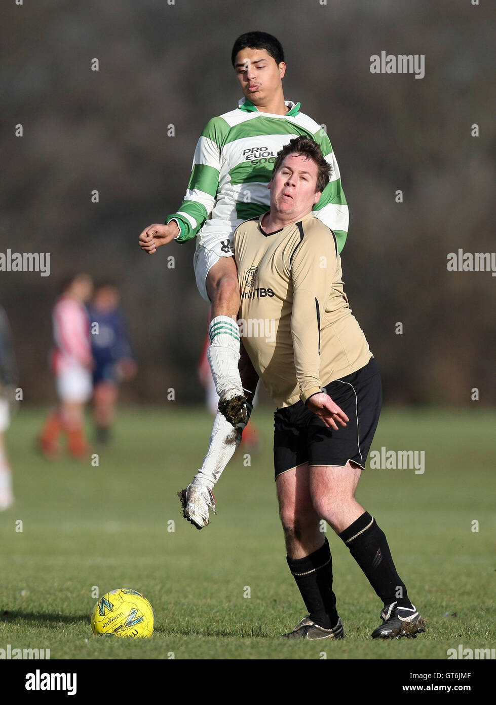 Maynell High Resolution Stock Photography and Images - Alamy