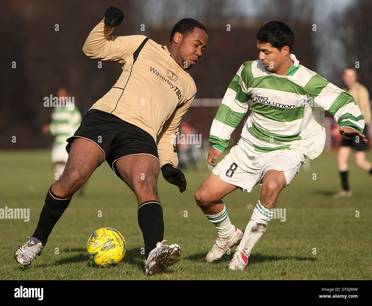 Maynell hi-res stock photography and images - Alamy