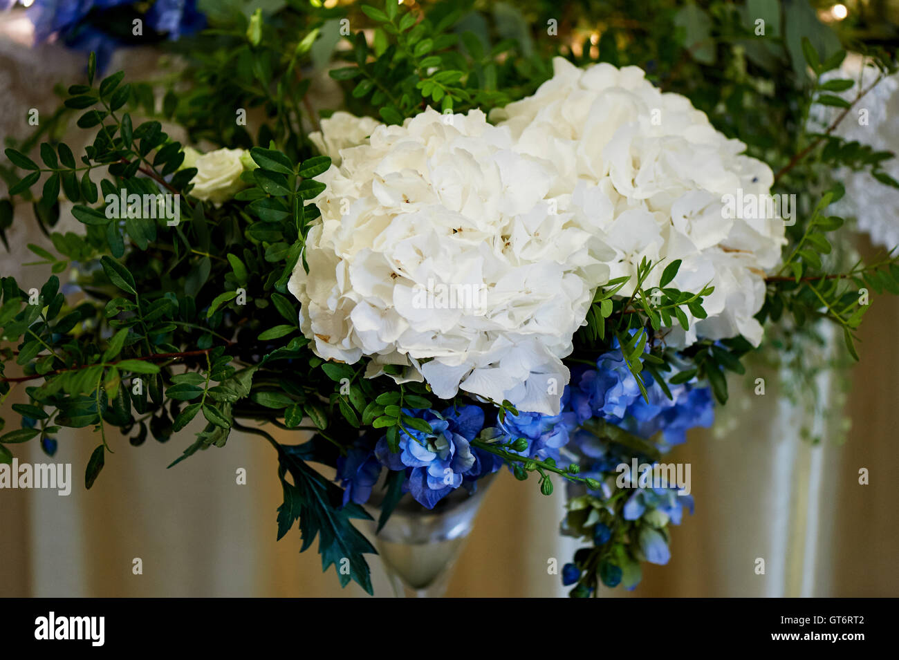 Wedding table decoration white and blue hydrangeas Stock Photo - Alamy