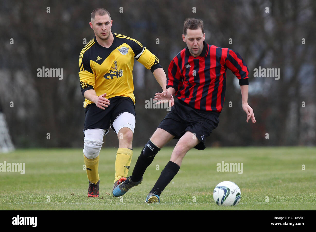 South London Sharks (red/black) vs Boroughs United - Hackney & Leyton ...