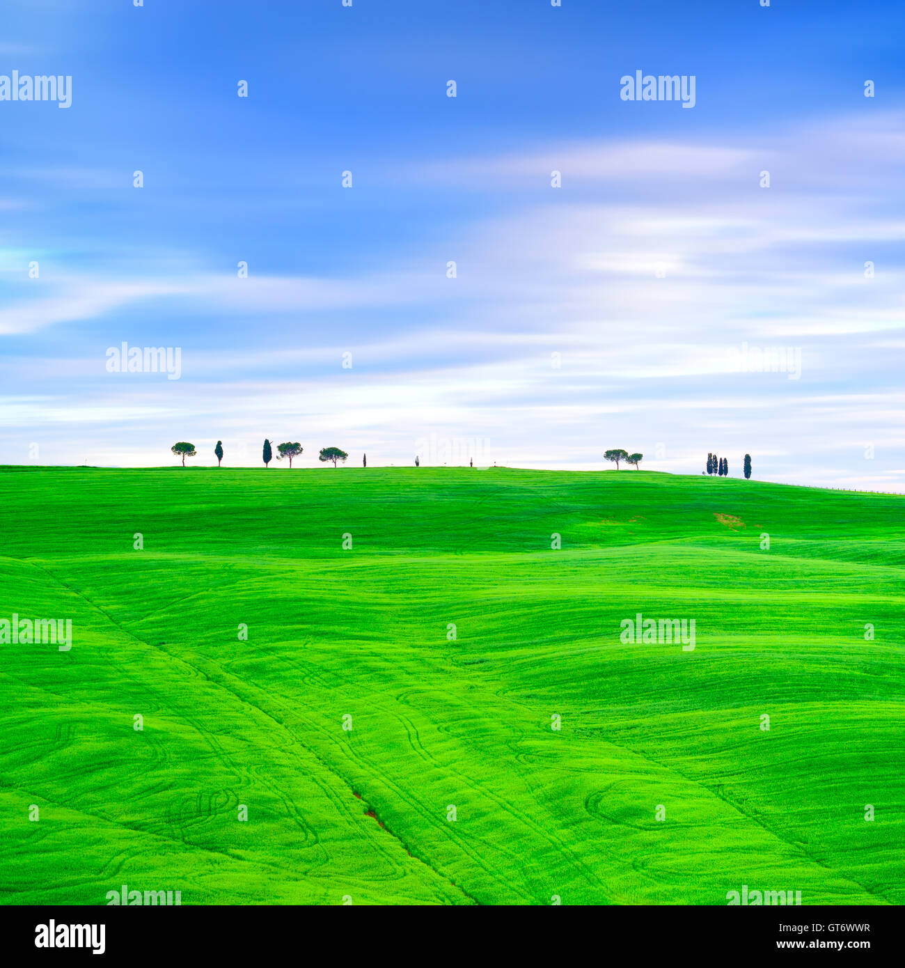 Green tree summer landscape hi-res stock photography and images - Alamy