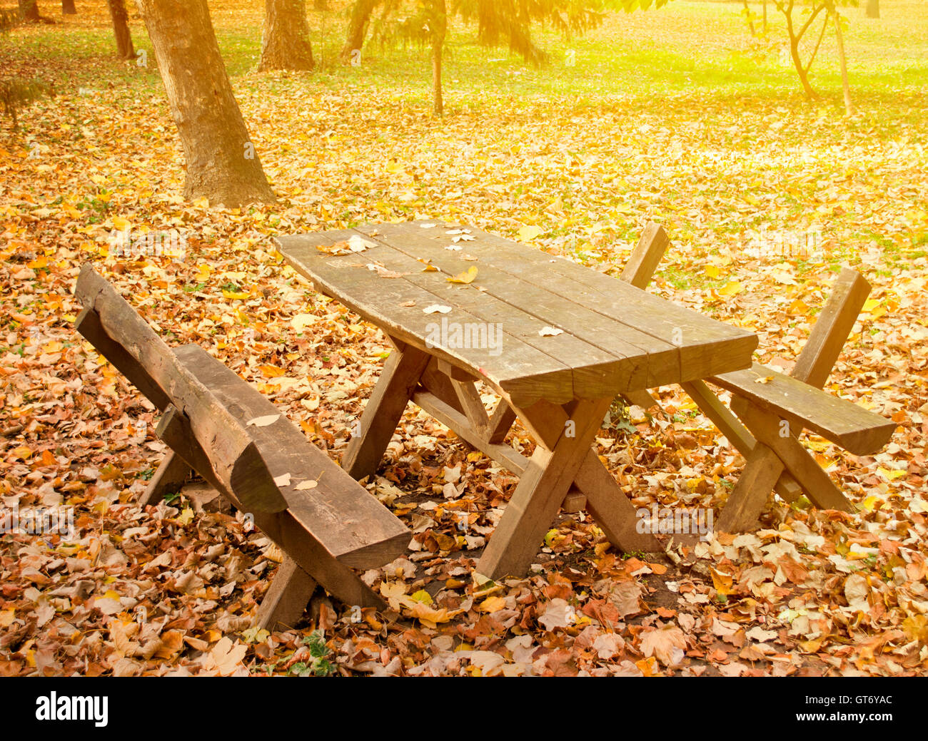 Wooden picnic table and bench in autumn forest Stock Photo - Alamy