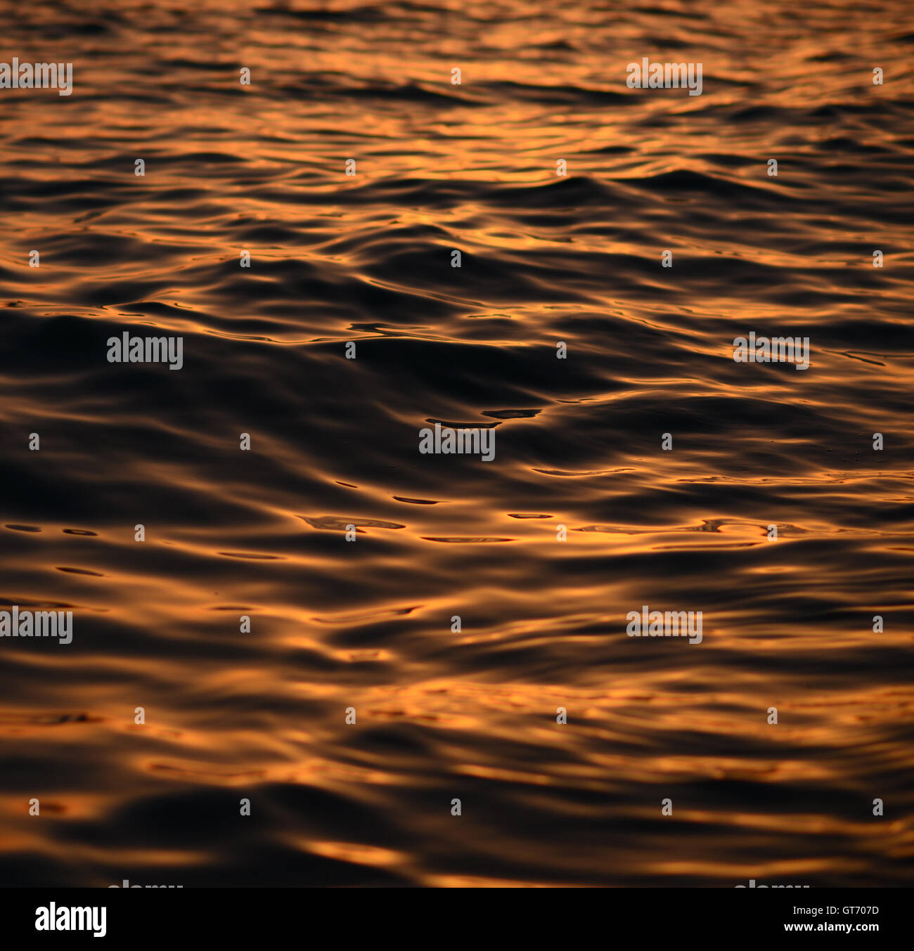 Beautiful golden colors of sunset over sea waves Stock Photo - Alamy