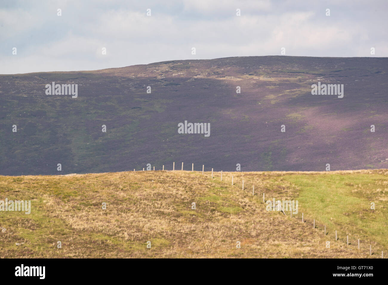 Shetland Landscape High Resolution Stock Photography and Images - Alamy