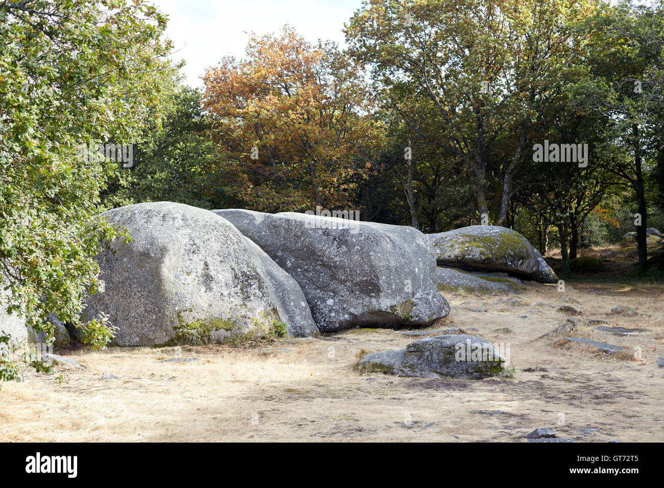 Limousin france hi-res stock photography and images - Alamy