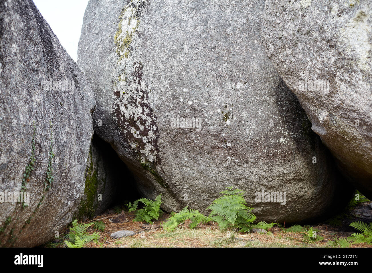 Pierres Jaumatres stones Limousin France Stock Photo - Alamy