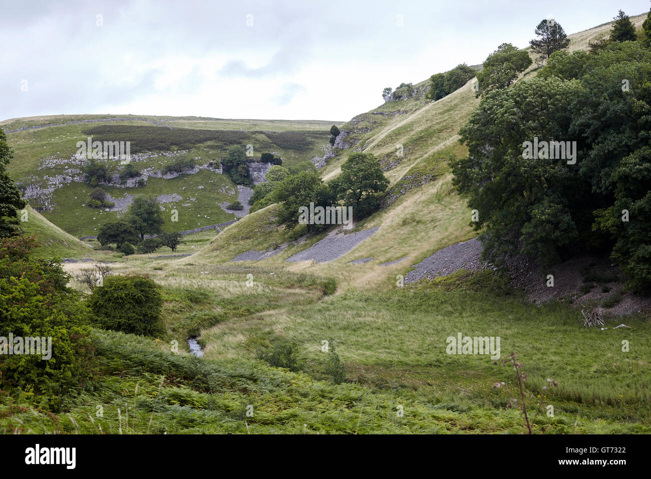 Troller's Gill Yorkshire Dales Stock Photo - Alamy