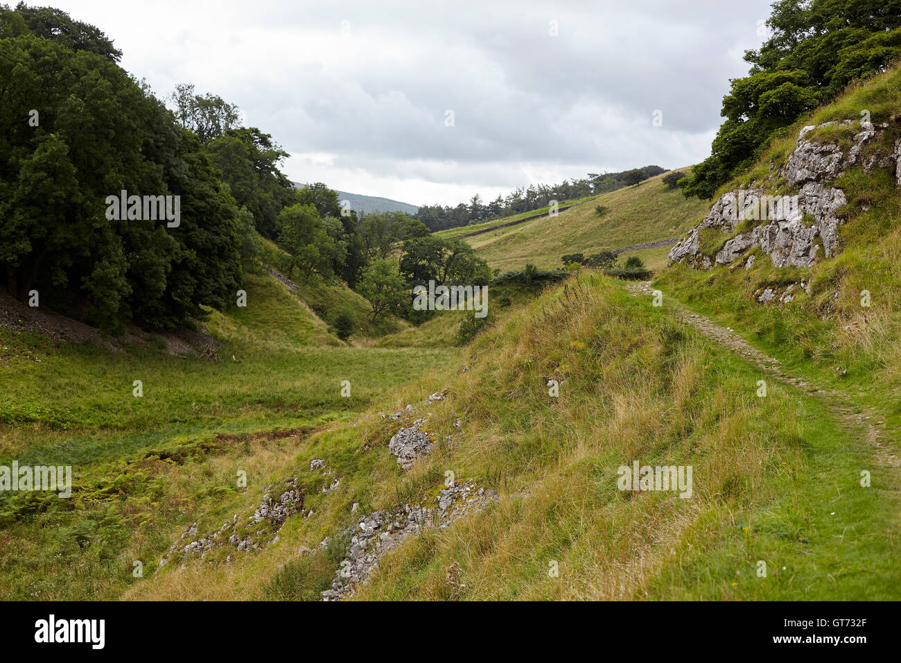 Troller's Gill Yorkshire Dales Stock Photo - Alamy