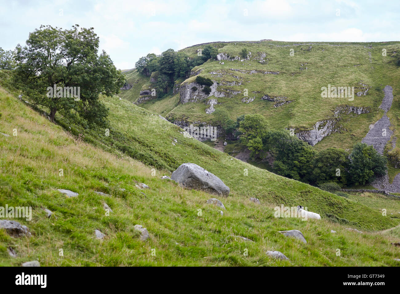 Troller's Gill Yorkshire Dales Stock Photo - Alamy