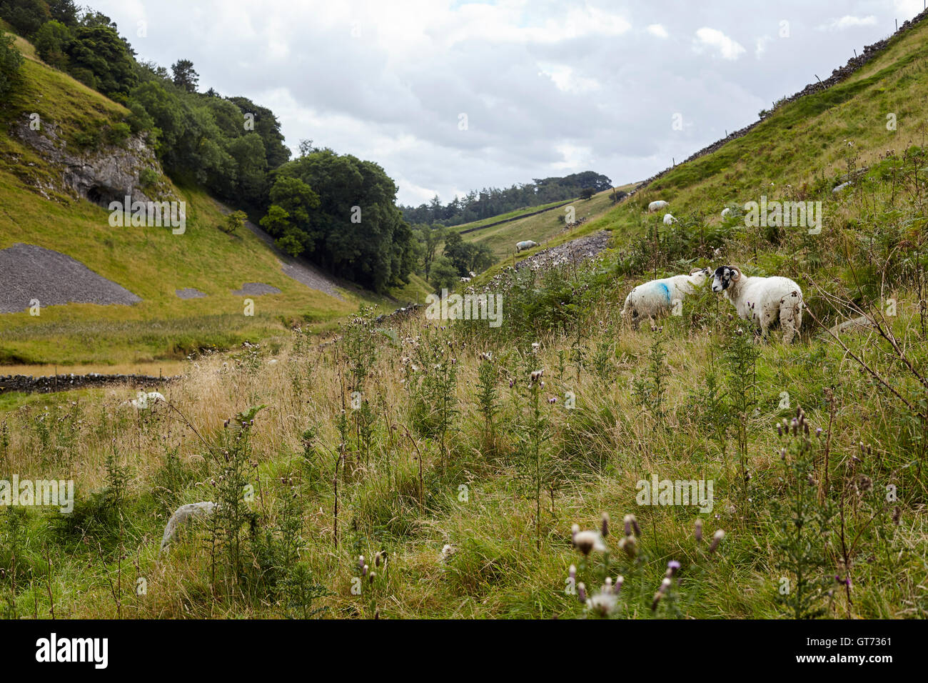 Trollers gill walk hi-res stock photography and images - Alamy