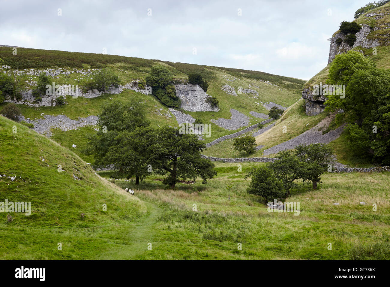Troller's Gill Yorkshire Dales Stock Photo - Alamy