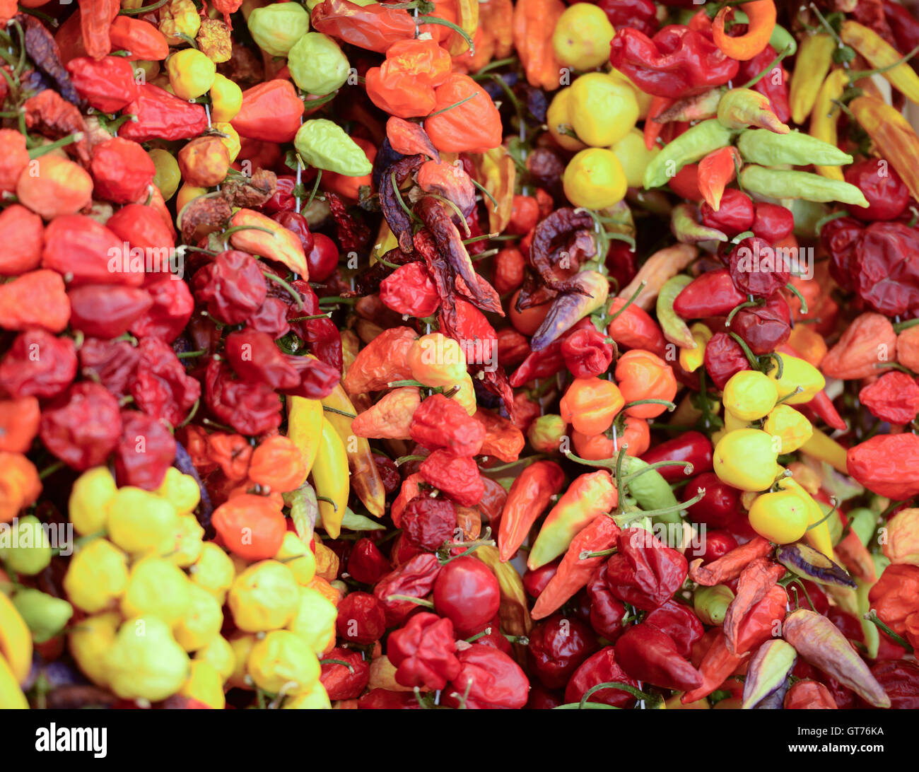 Colorful peppers background Stock Photo - Alamy