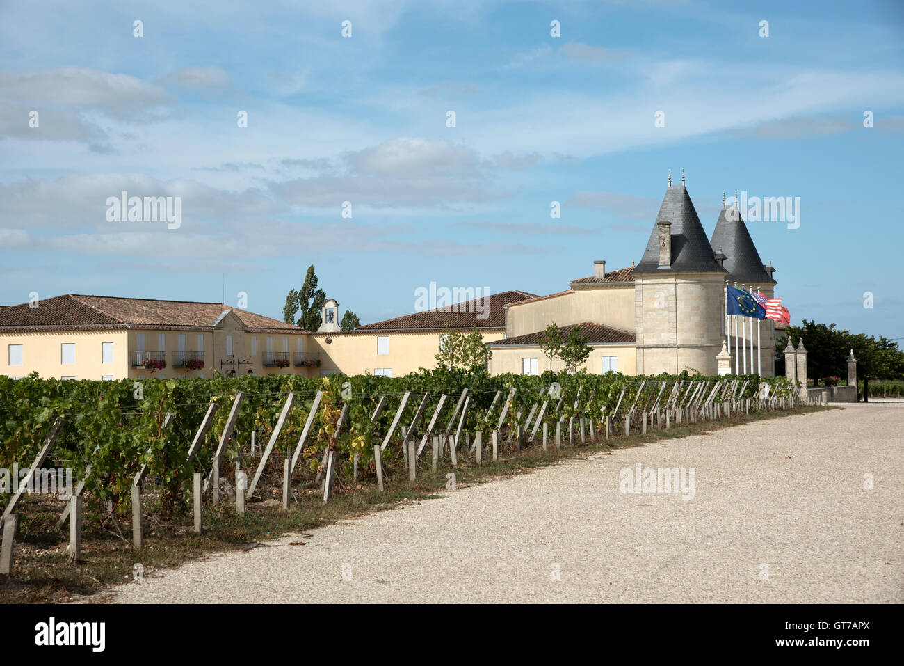 Saint Estephe wine region France - Chateau Lilian Ladouys the vines and ...