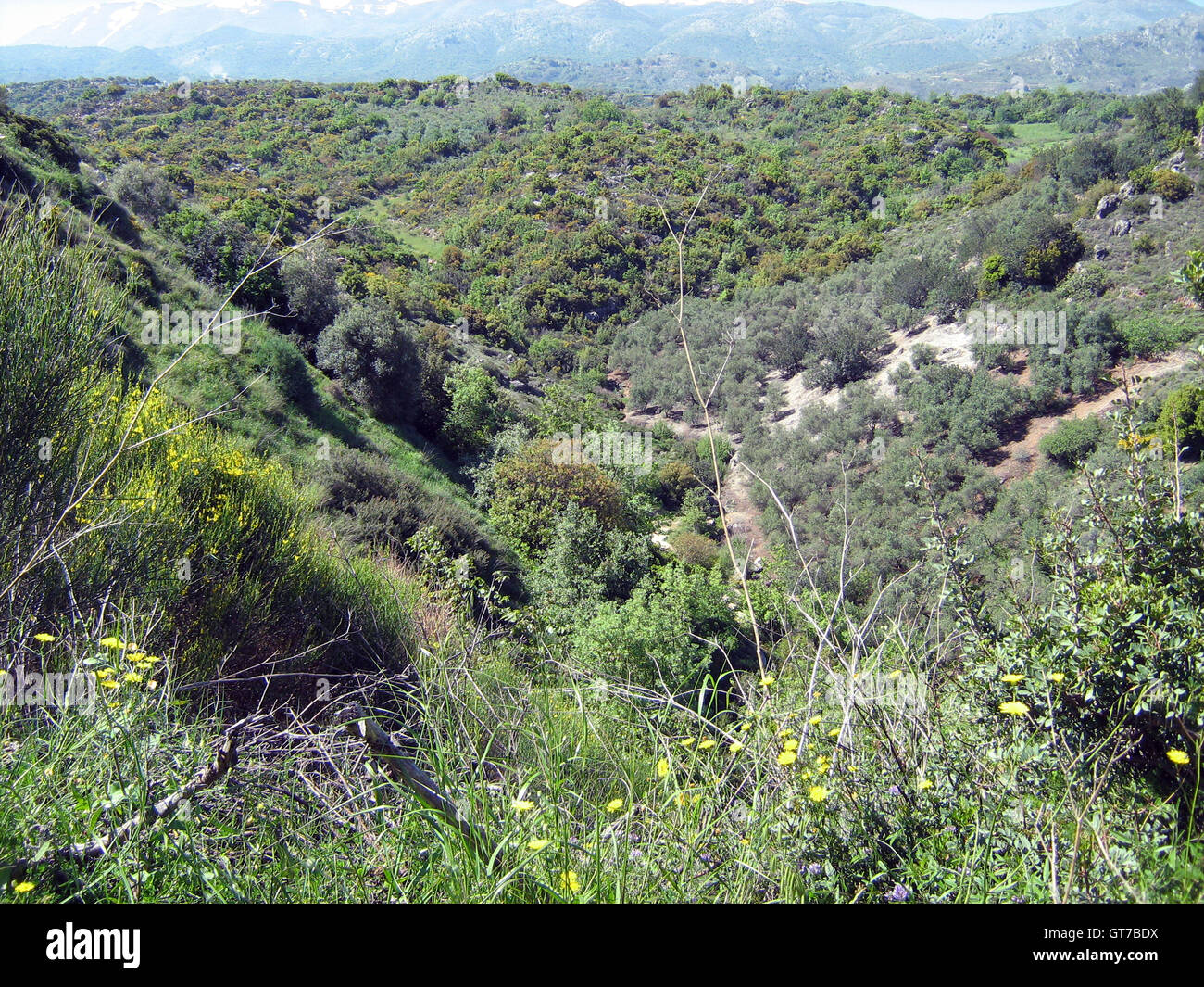 Cave of Zeus, Mt. Ida, Crete, Greece Stock Photo - Alamy