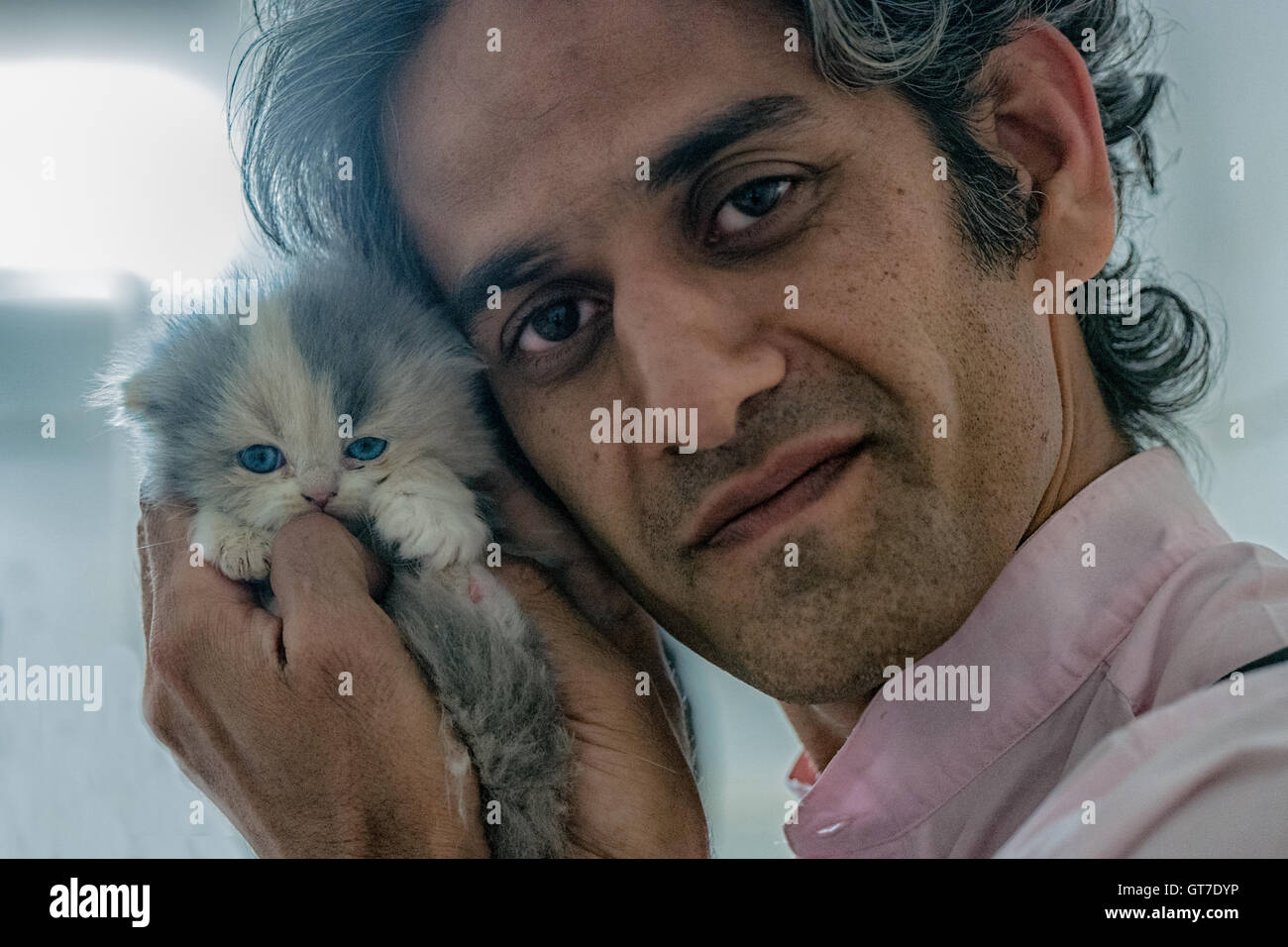 Mohammed Massarat breeds Persian cats at his home in Yazd, Iran Stock ...
