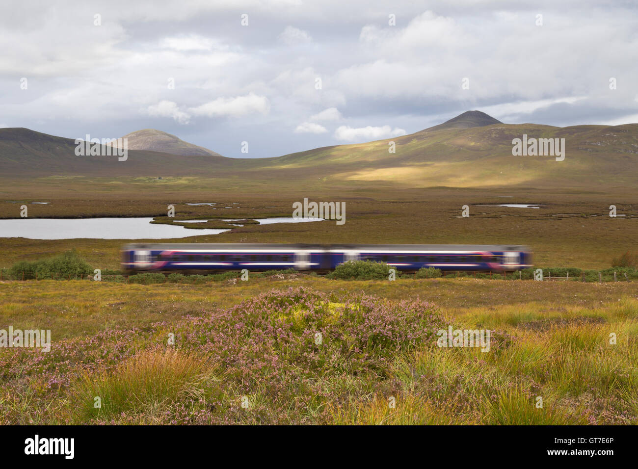 Scotrail train in Sutherland, Highland Scotland Stock Photo - Alamy