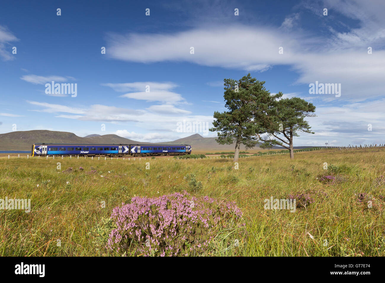 Scotrail train hi-res stock photography and images - Alamy