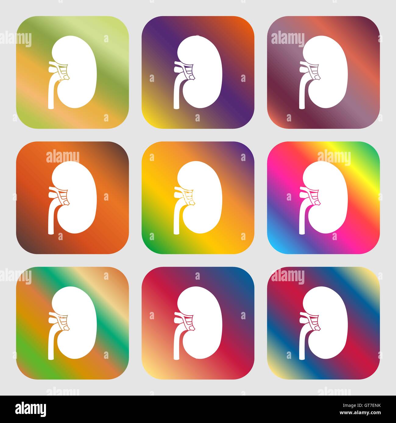 Kidney sign icon . Nine buttons with bright gradients for beautiful design. Vector Stock Vector ...