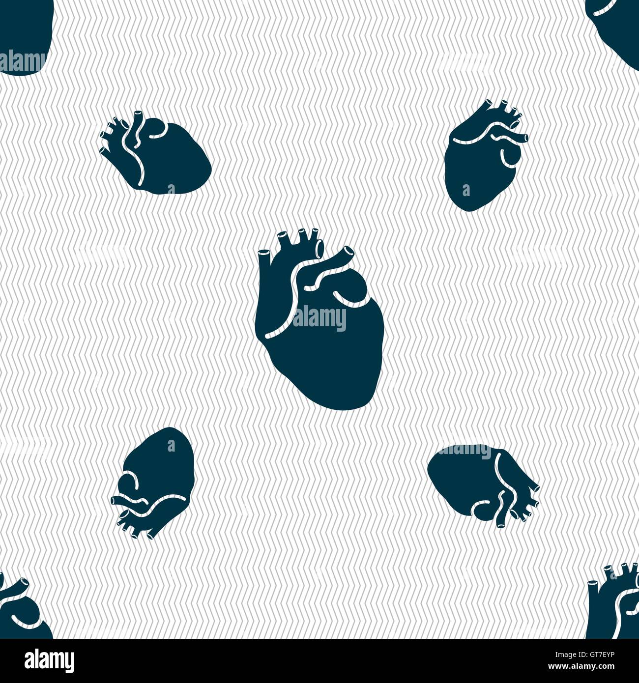 Heart and cardiovascular system vector hi-res stock photography and ...