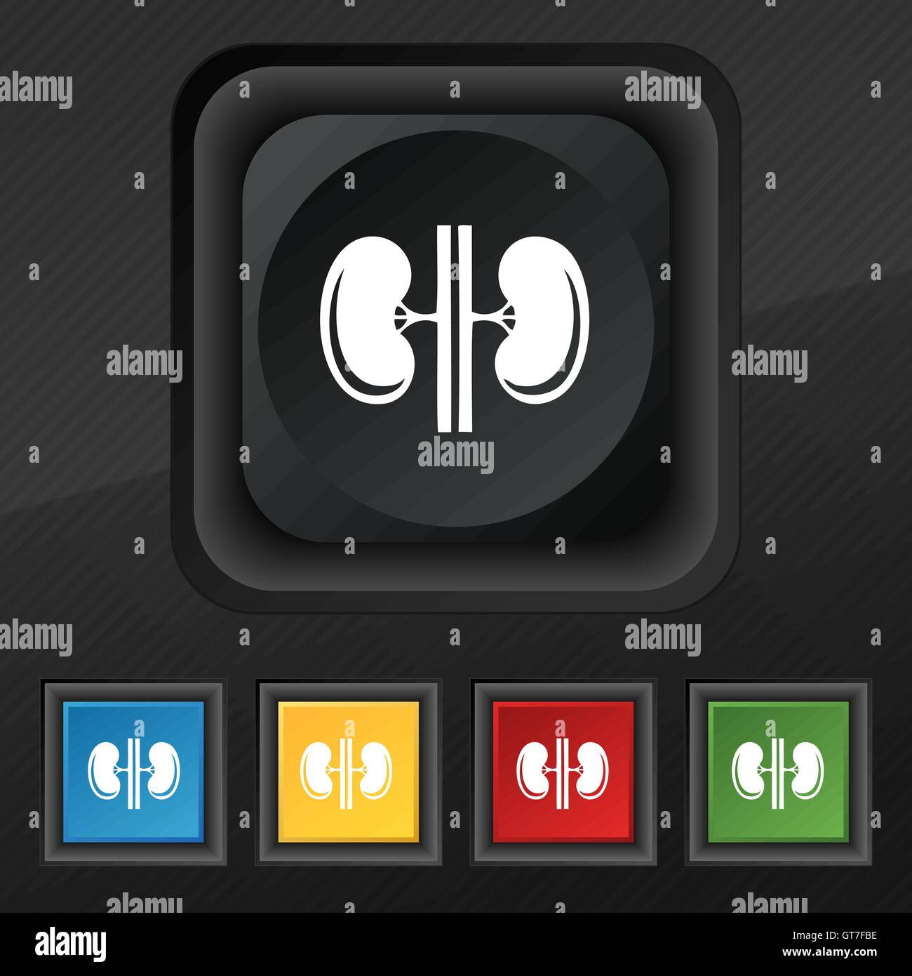 Kidneys icon symbol. Set of five colorful, stylish buttons on black ...