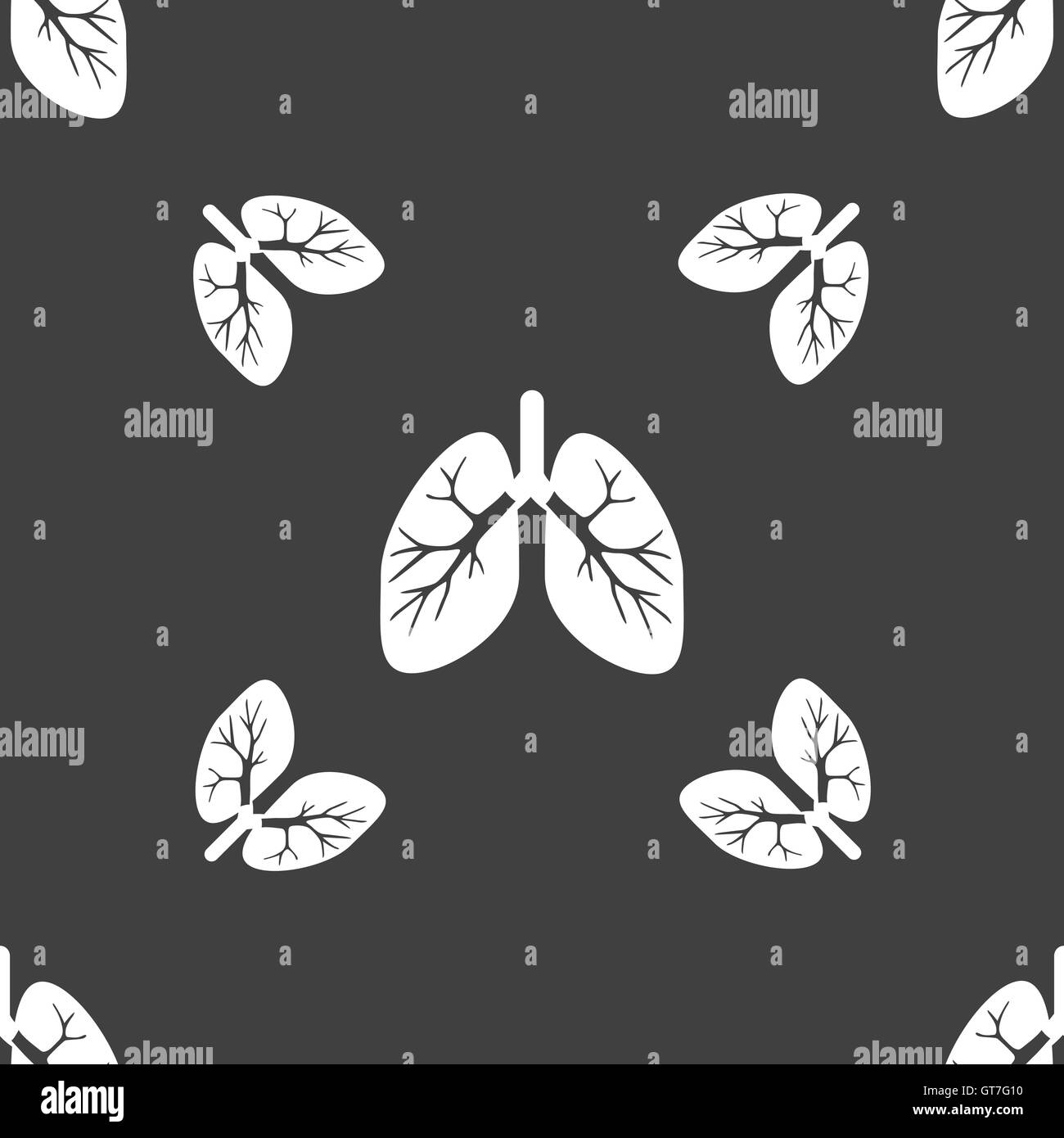 Anatomical pulmones Black and White Stock Photos & Images - Alamy