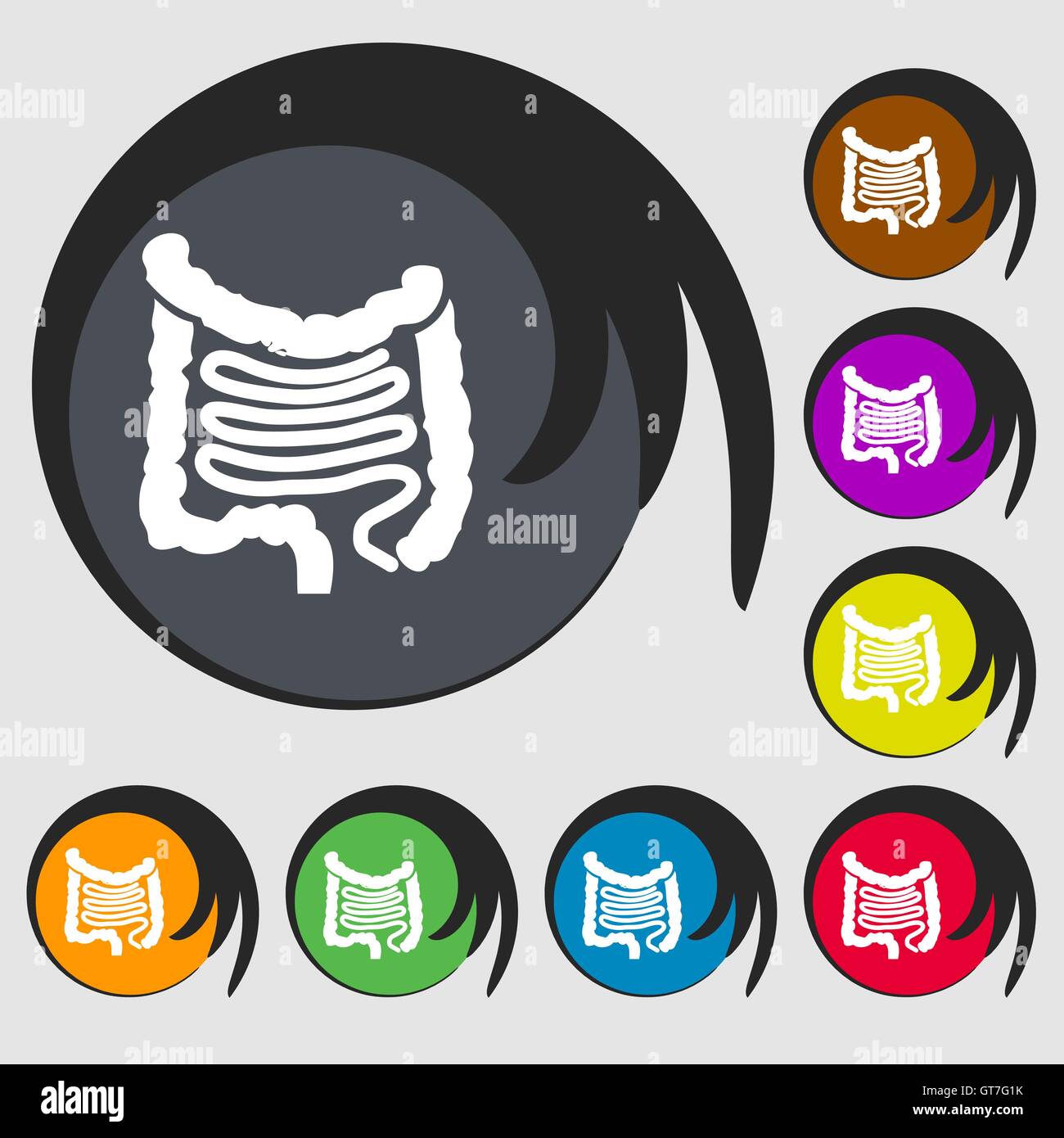 Intestines sign icon. Symbols on eight colored buttons. Vector Stock ...