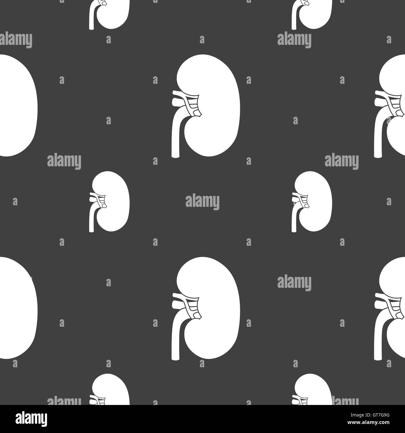 Kidney sign. Seamless pattern on a gray background. Vector Stock Vector ...