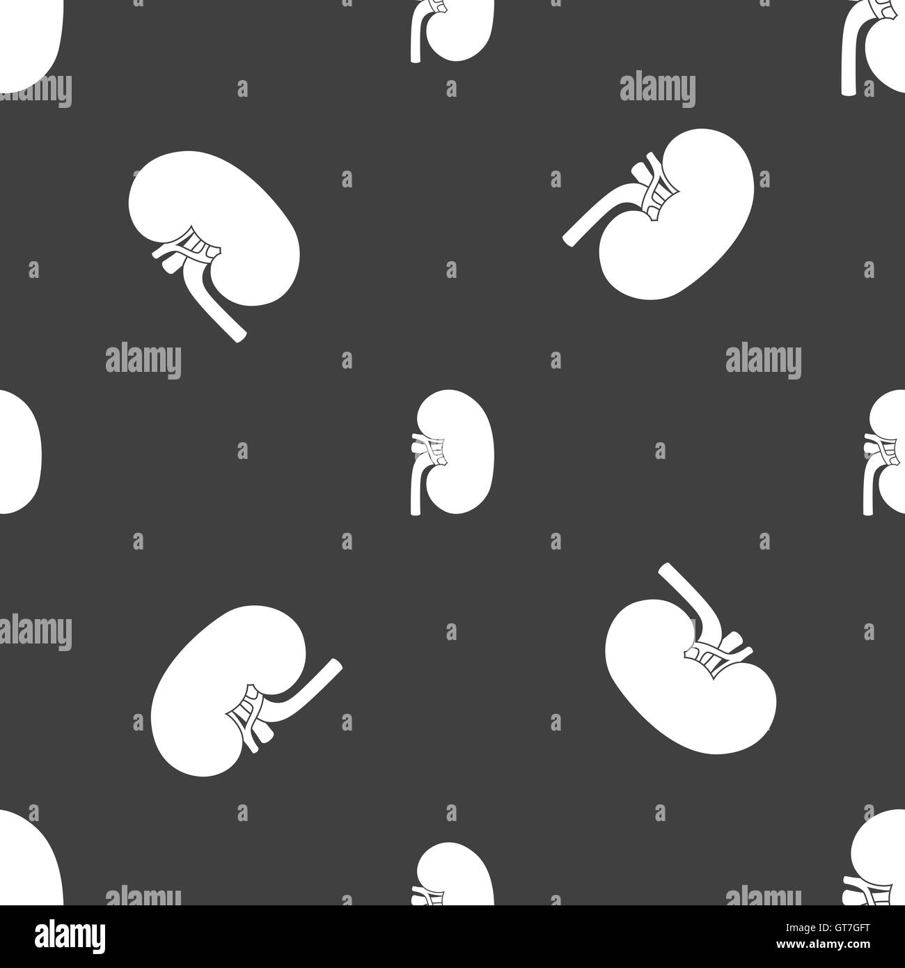 Kidney sign. Seamless pattern on a gray background. Vector Stock Vector ...