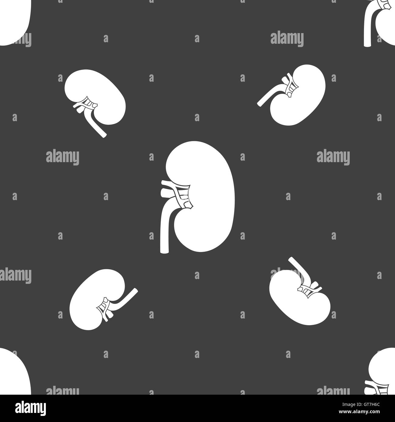 Kidney sign. Seamless pattern on a gray background. Vector Stock Vector ...