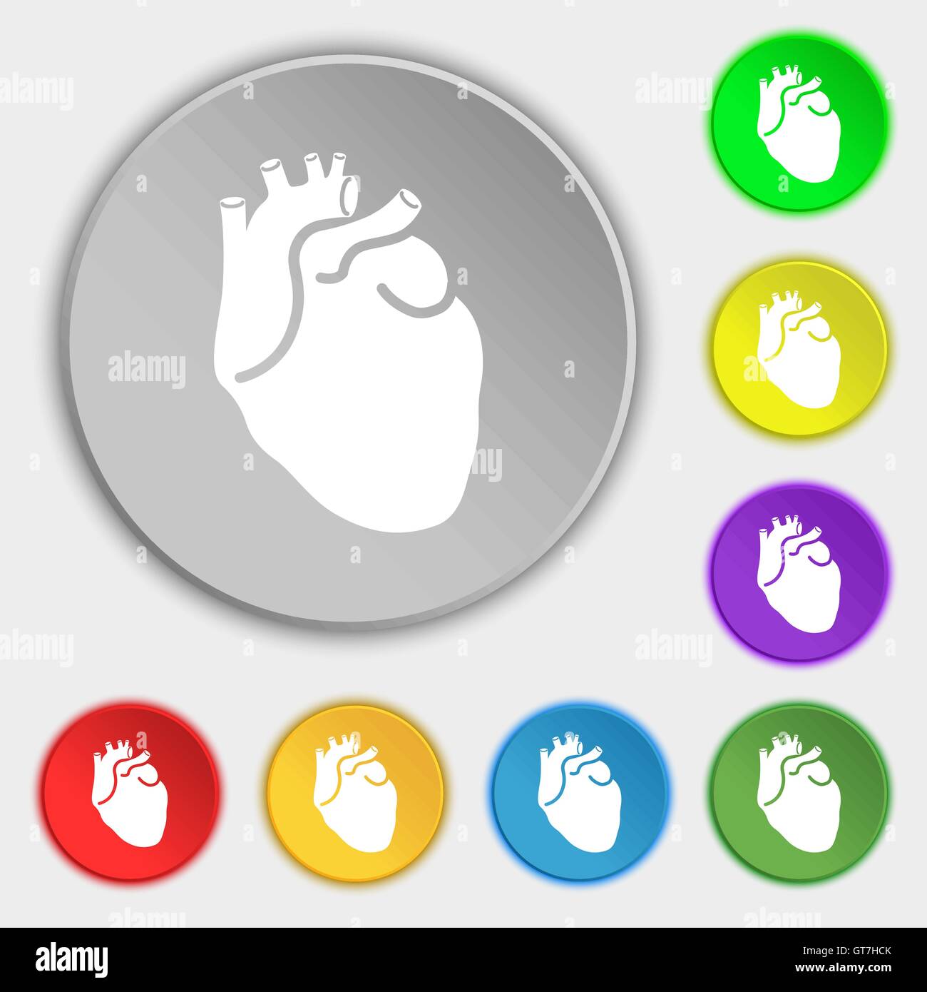 Human heart icon sign. Symbol on eight flat buttons. Vector Stock ...