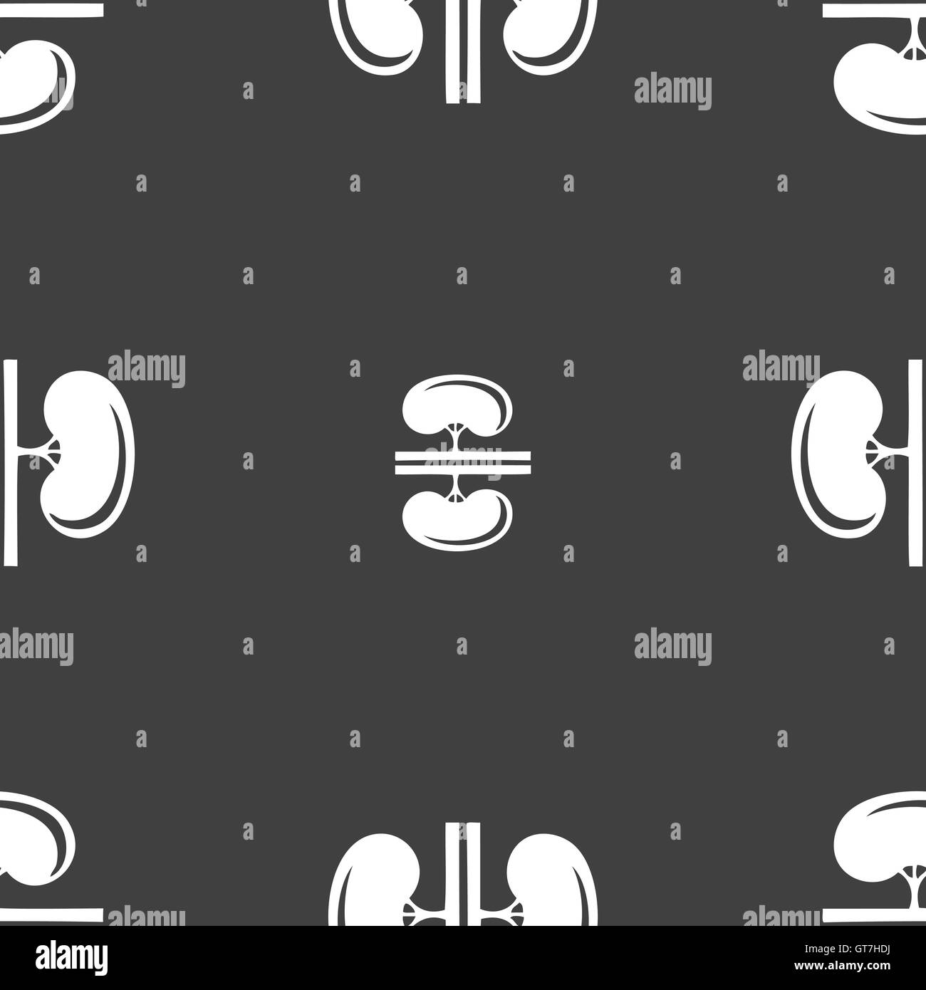 Kidneys Black and White Stock Photos & Images - Alamy