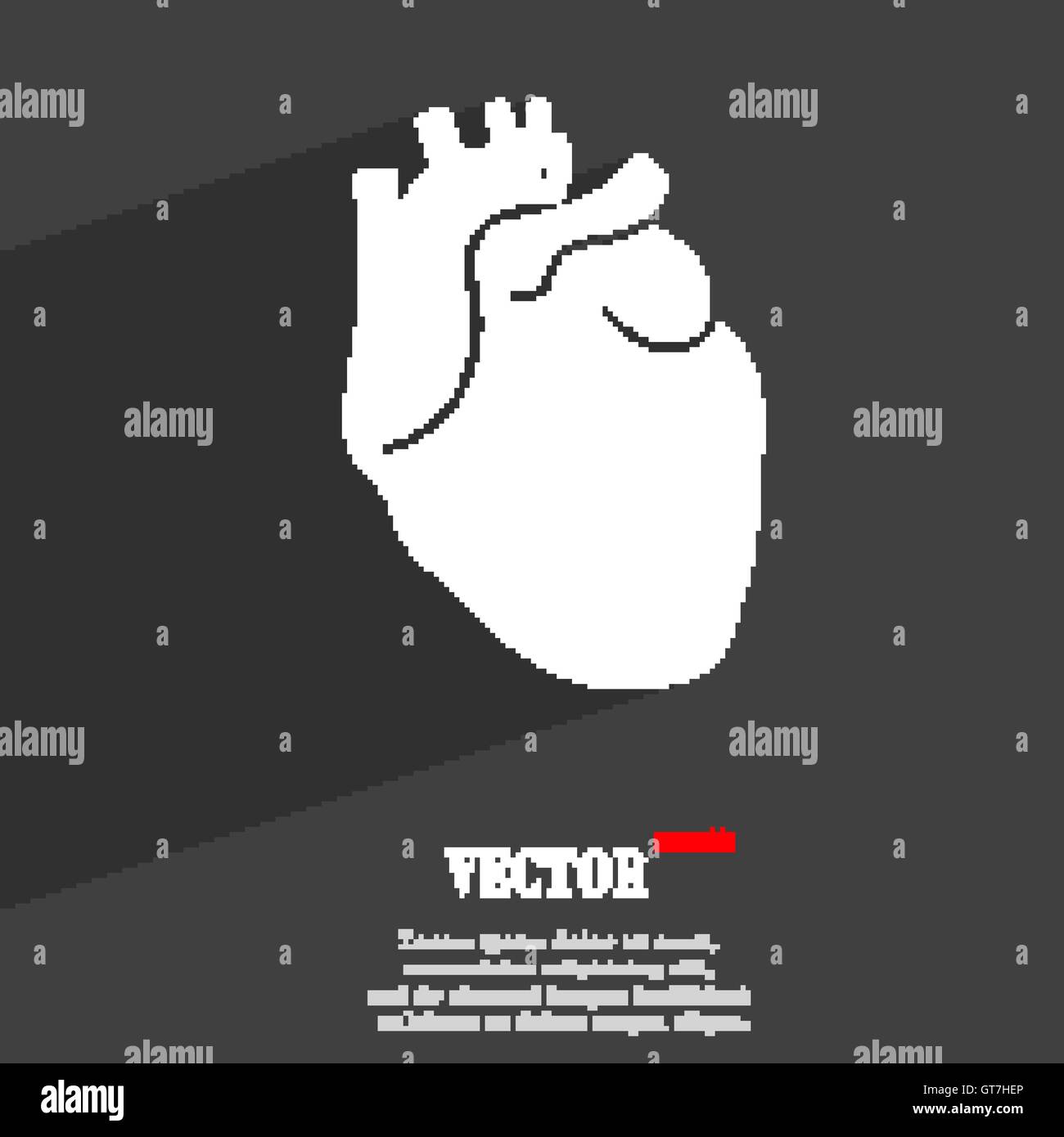 Anatomical heart symbol Stock Vector Images - Alamy